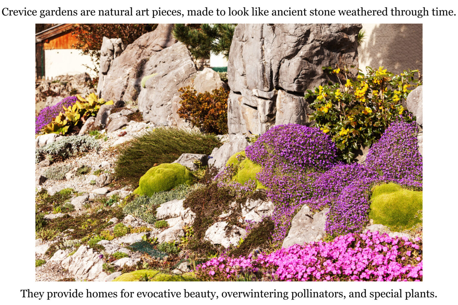 Crevice Gardens - Restorative Landscape Design: Using native plants and ...