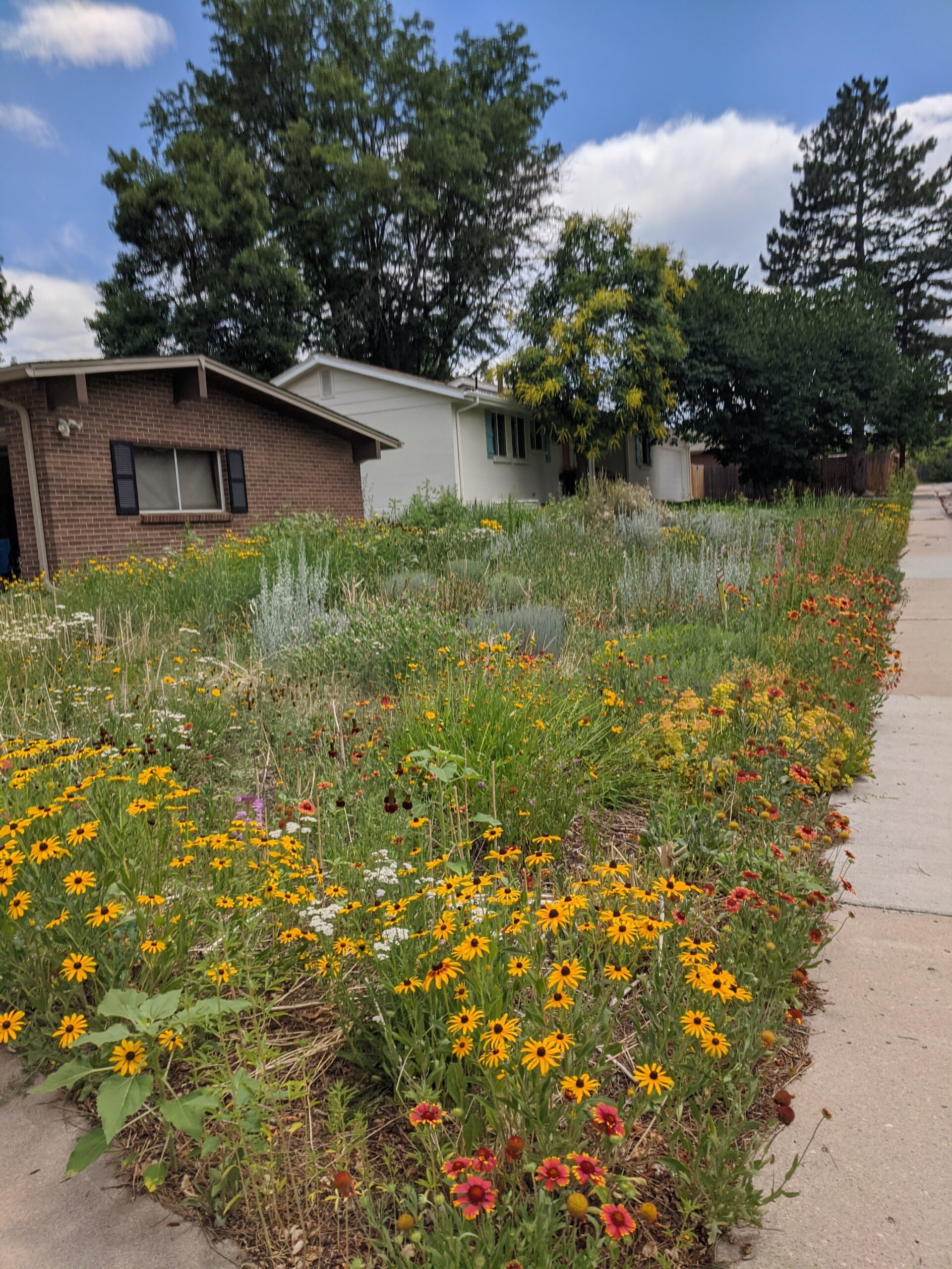 Habitat-Friendly Maintenance - Restorative Landscape Design: Using ...