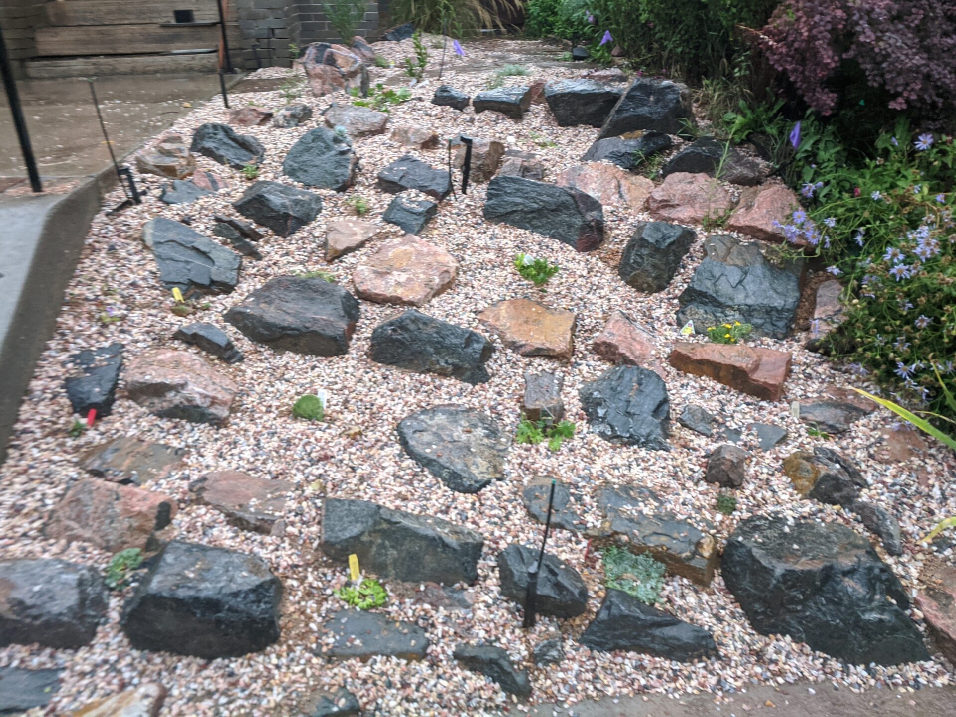 Crevice Gardens - Restorative Landscape Design: Using native plants and ...