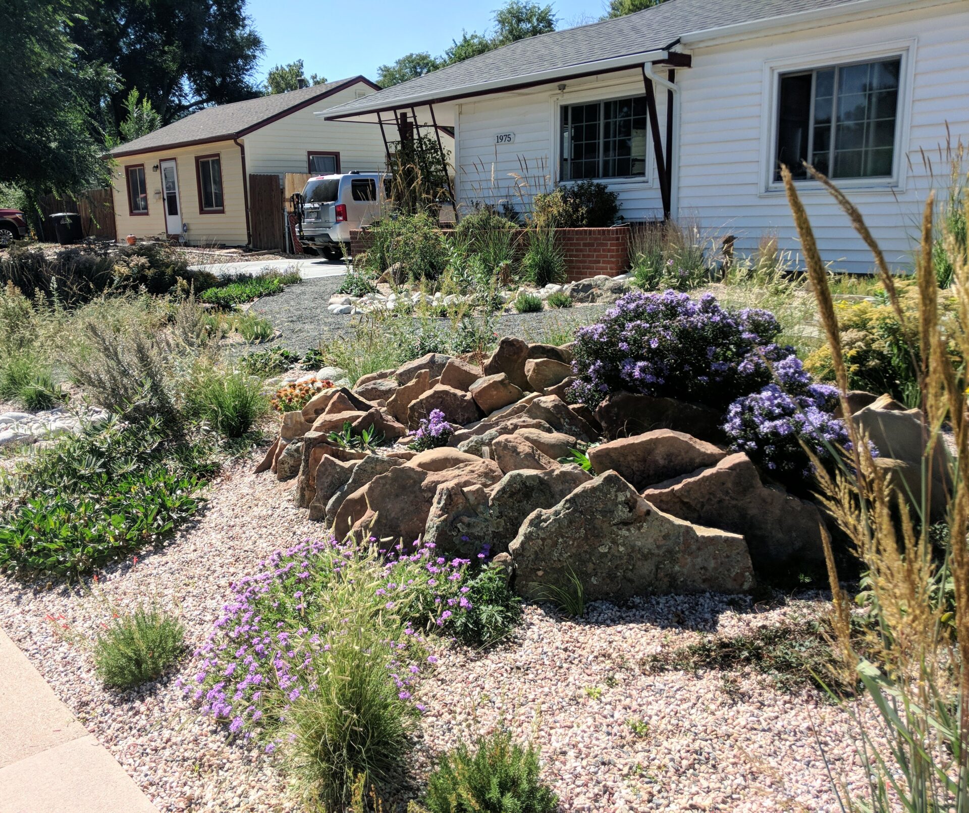 What We Build - Restorative Landscape Design: Using native plants and ...