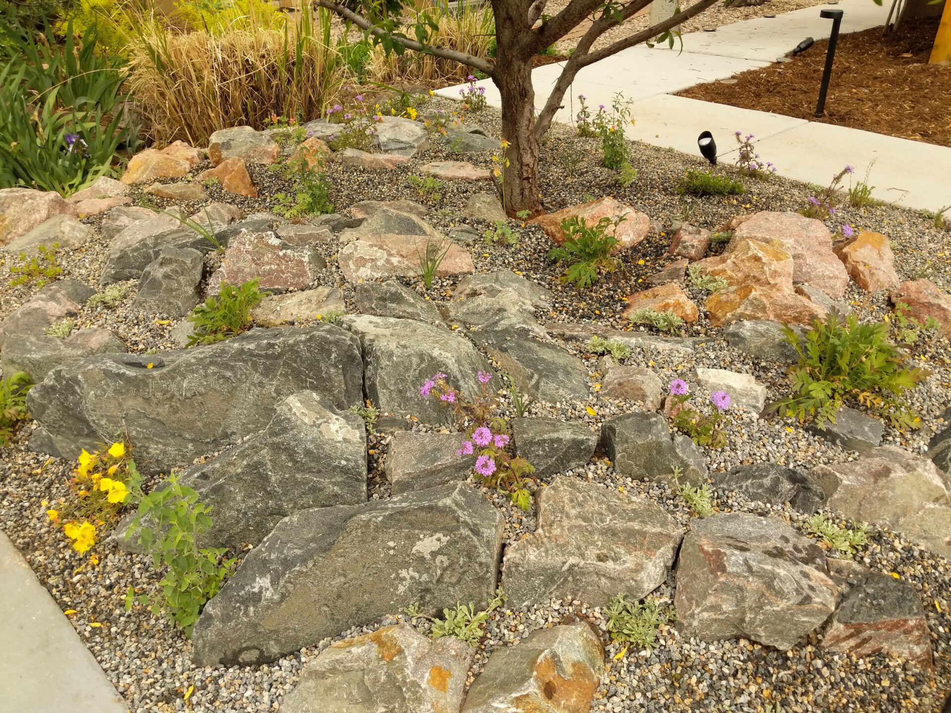 Crevice Gardens - Restorative Landscape Design: Using native plants and ...