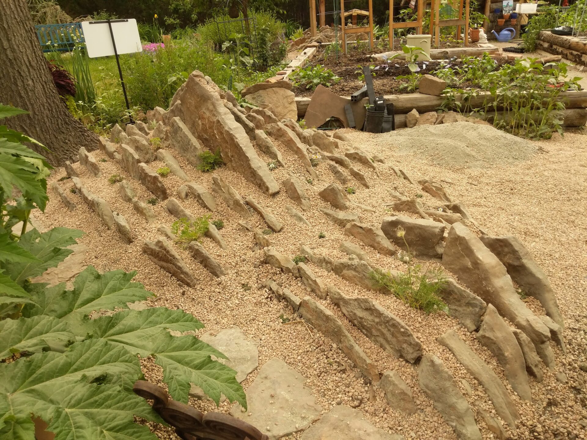 Crevice Gardens - Restorative Landscape Design: Using native plants and ...