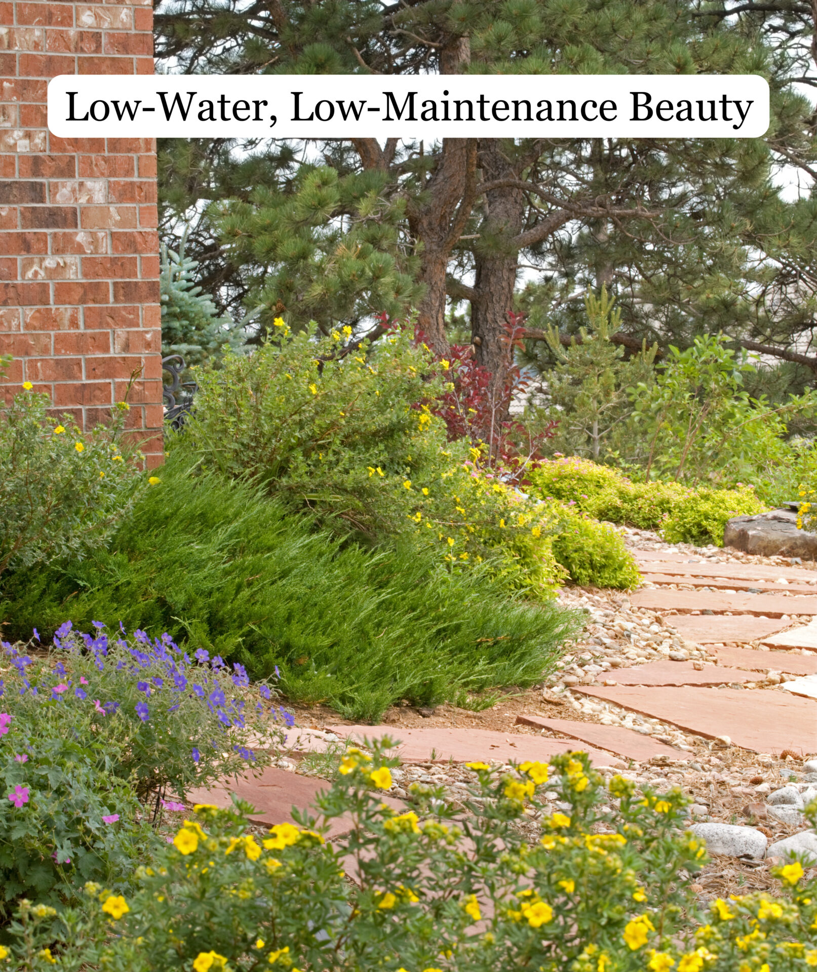 What We Build - Restorative Landscape Design: Using native plants and ...