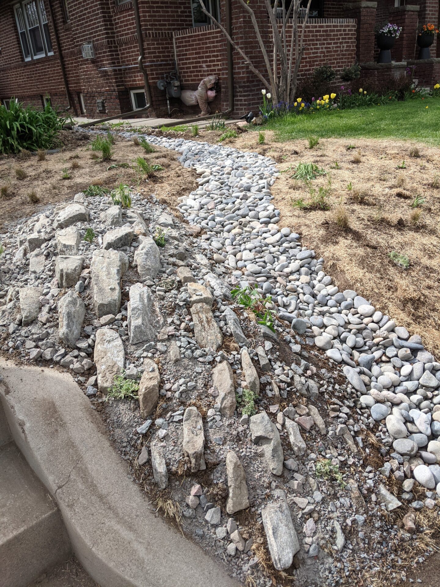 Crevice Gardens - Restorative Landscape Design: Using native plants and ...