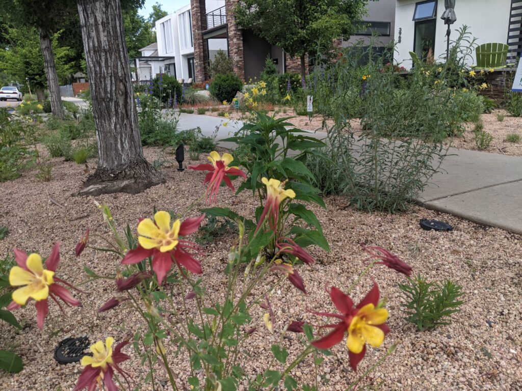 Types of Mulch - Restorative Landscape Design: Using native plants and ...