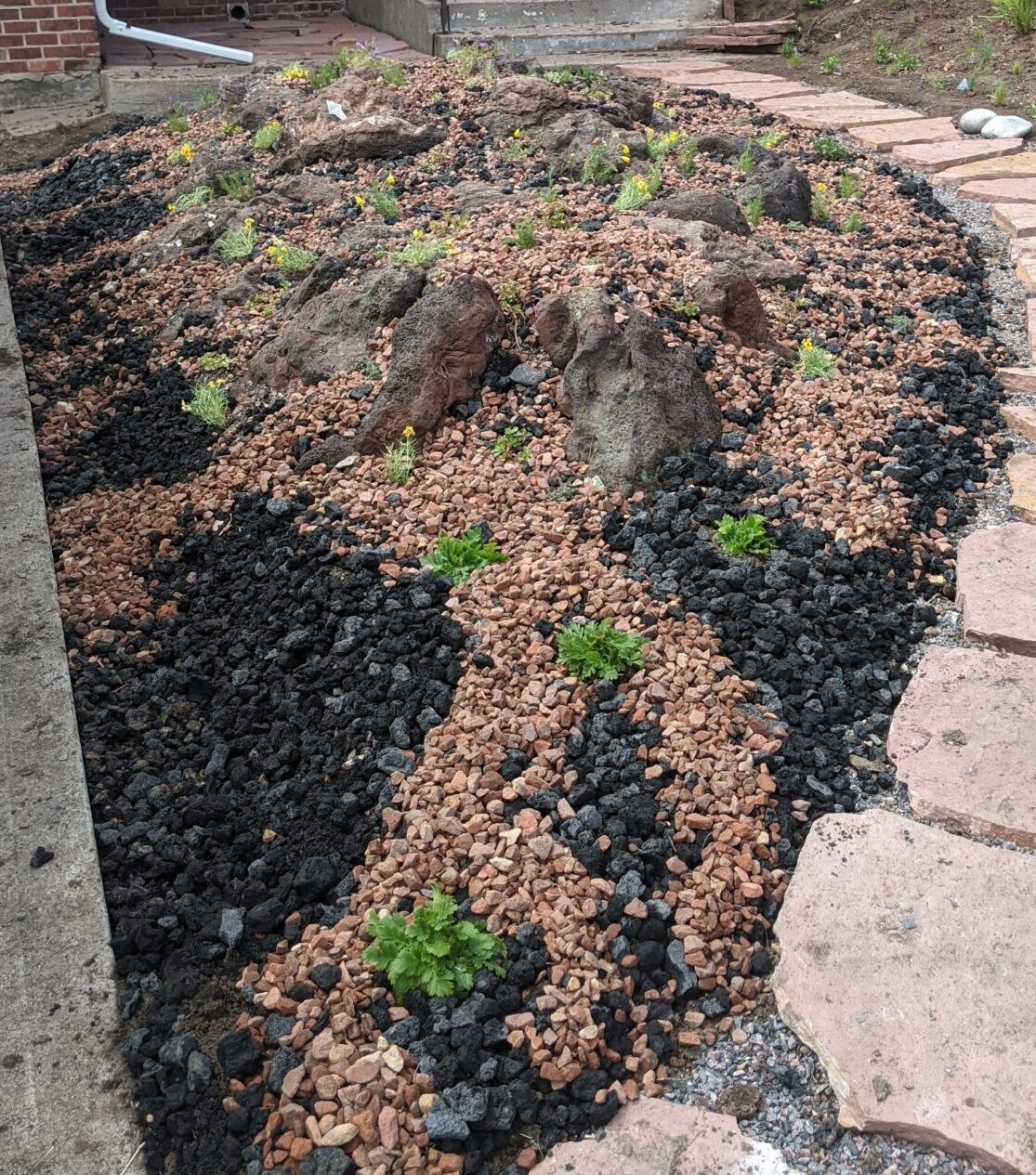 lava2 - Restorative Landscape Design: Using native plants and ...