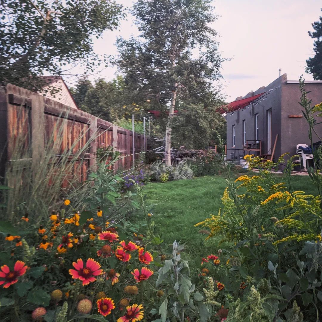 What We Build - Restorative Landscape Design: Using native plants and ...
