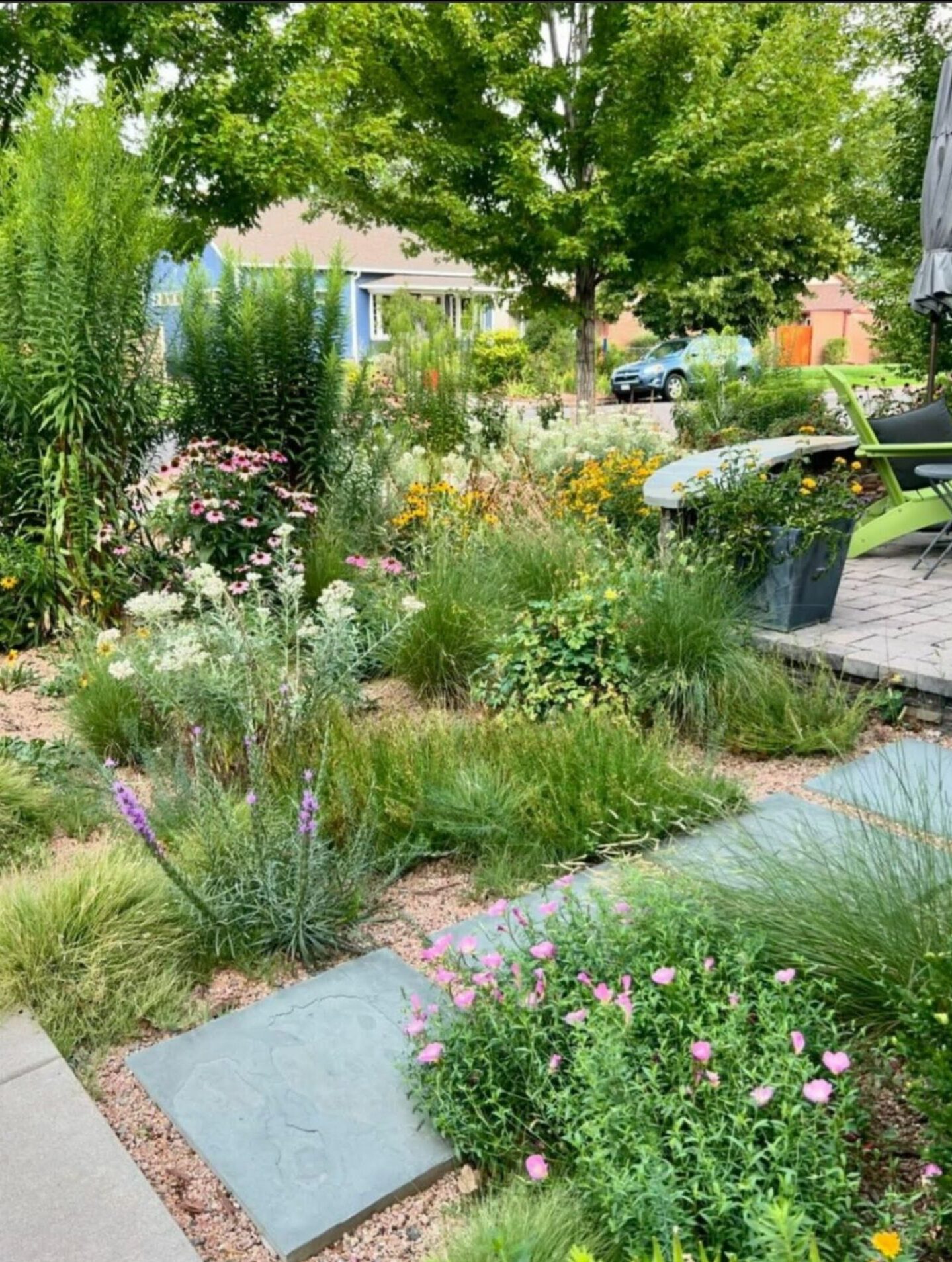 About RLD - Restorative Landscape Design: Using native plants and ...