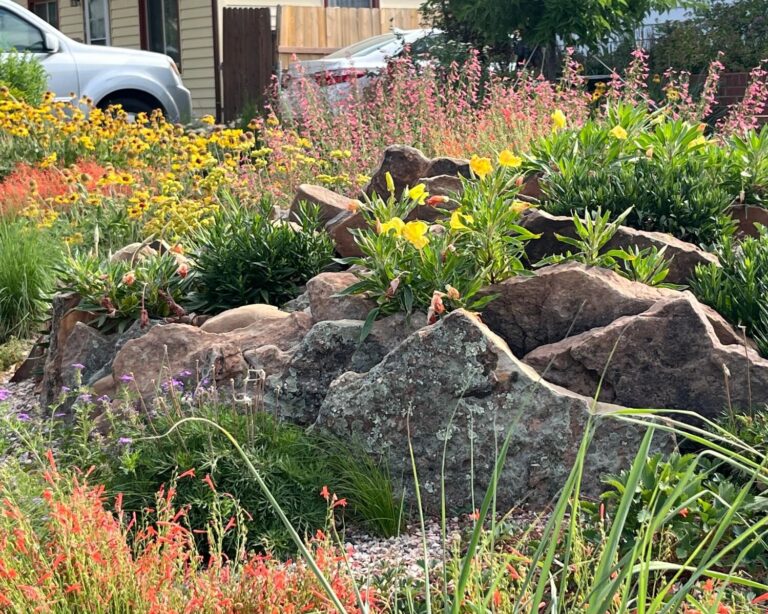 About RLD - Restorative Landscape Design: Using native plants and ...