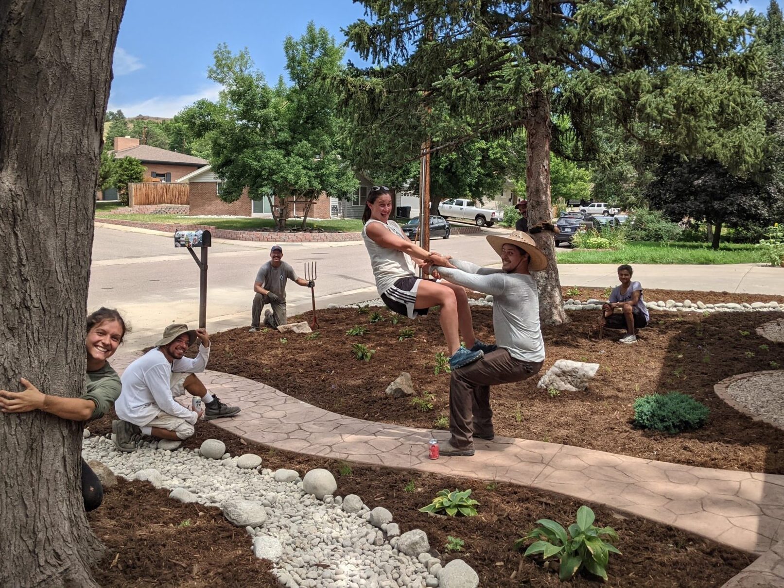 About RLD - Restorative Landscape Design: Using native plants and ...
