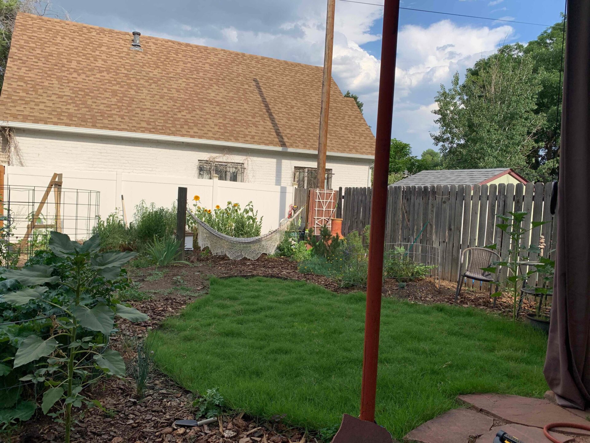 Native and Xeric Lawns - Restorative Landscape Design: Using native ...