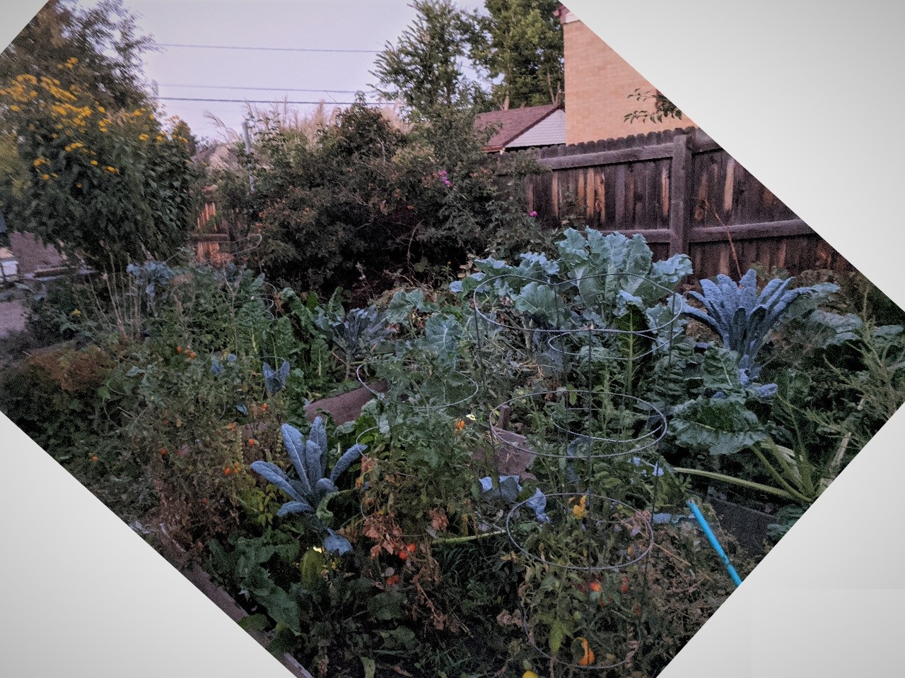 Permaculture Design - Restorative Landscape Design: Using native plants ...