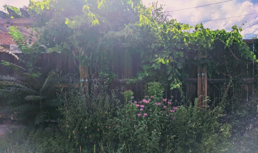 About Restorative Landscape Design - Restorative Landscape Design ...